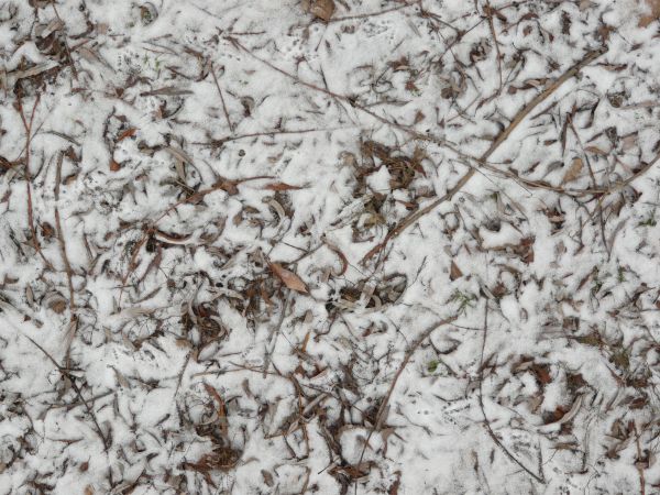 frozen ground texture 0014 - Texturelib